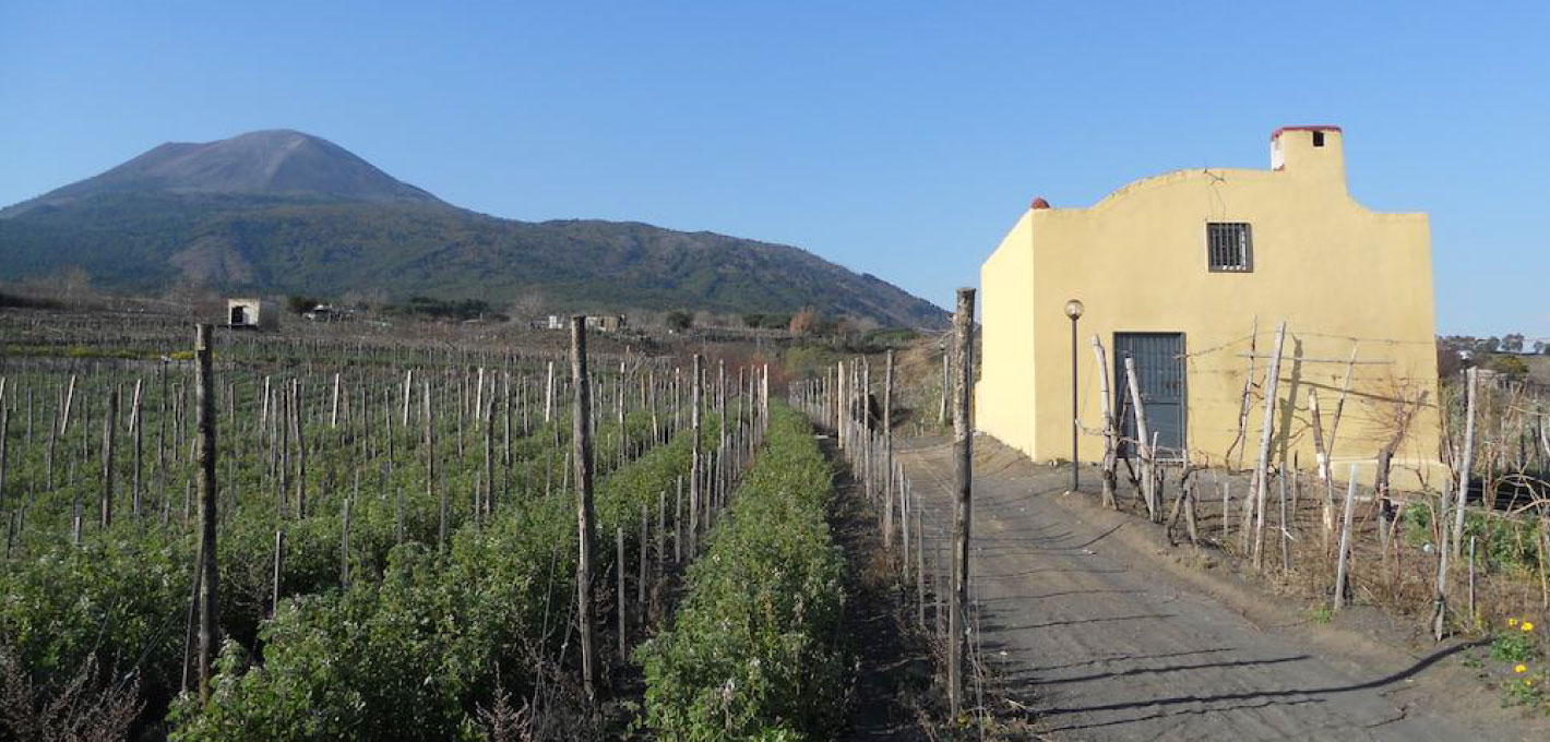 Boscotrecase | Vesuvius National Park