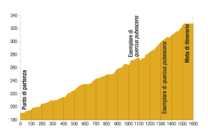 The Profica Valley | Vesuvius National Park