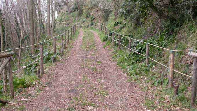 The Mt Somma | Vesuvius National Park