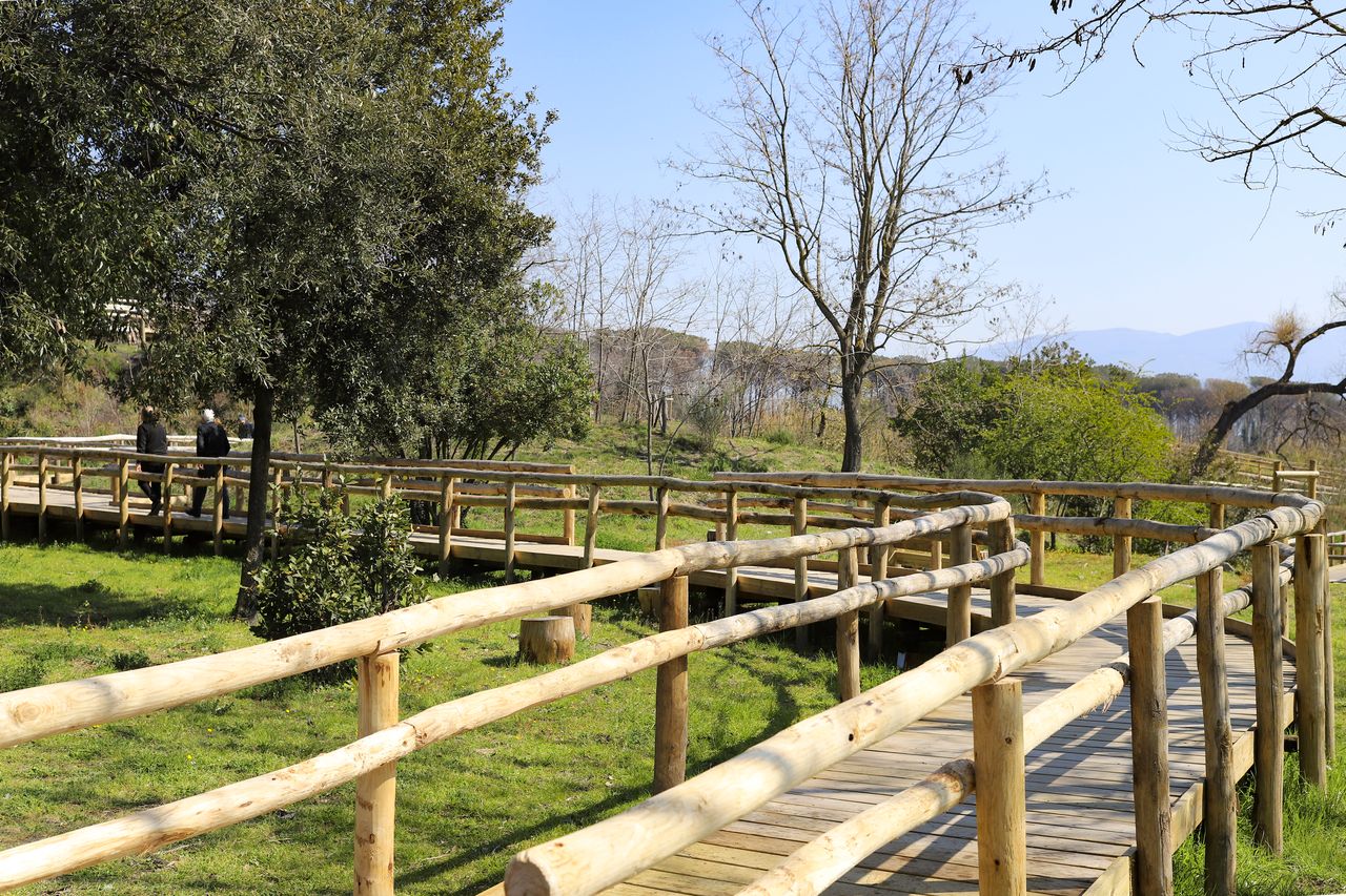 La Pineta di Terzigno | Parco Nazionale del Vesuvio