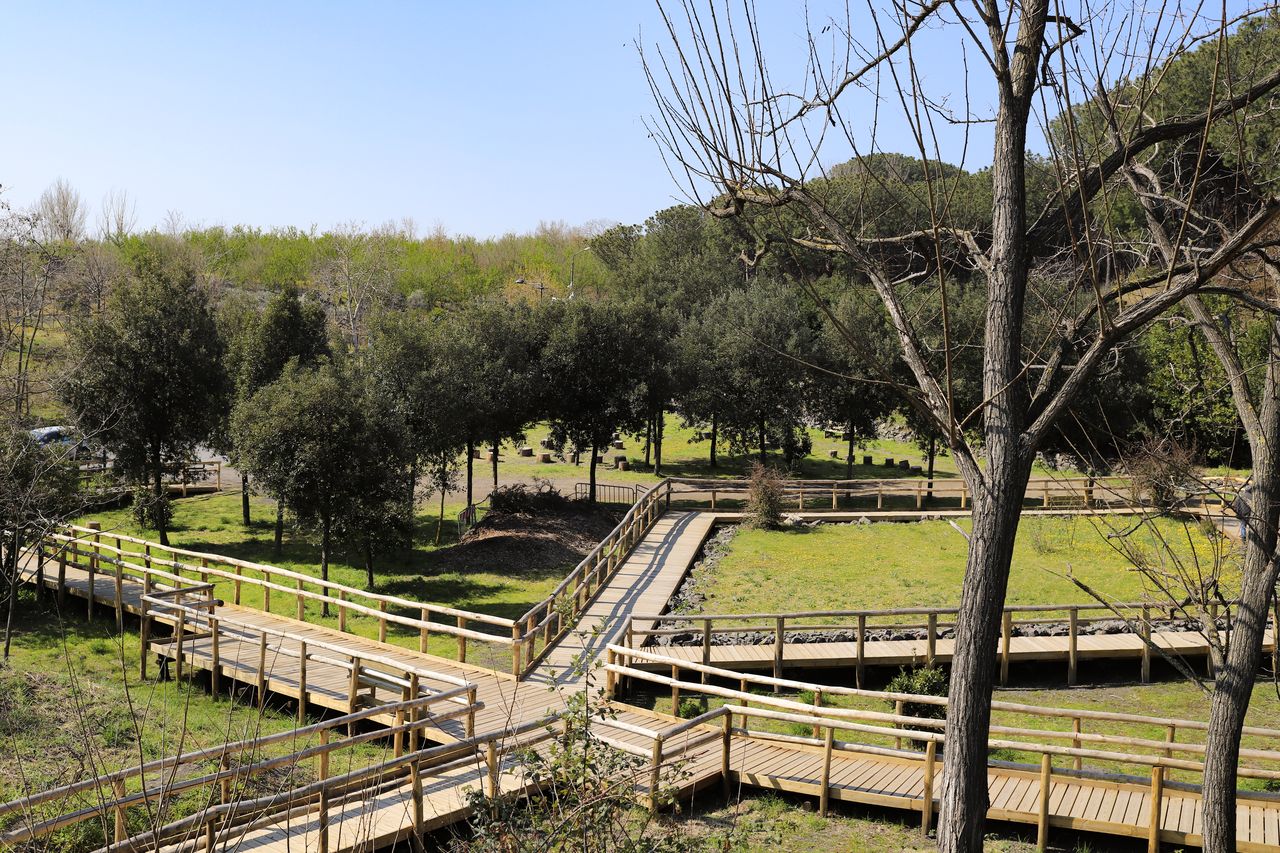 La Pineta di Terzigno | Parco Nazionale del Vesuvio