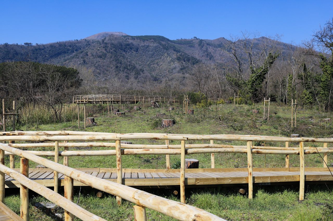 La Pineta di Terzigno | Parco Nazionale del Vesuvio